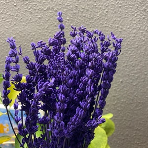 Natural Preserved Lavender Bundle Flowers Perfect for Home Decor ...