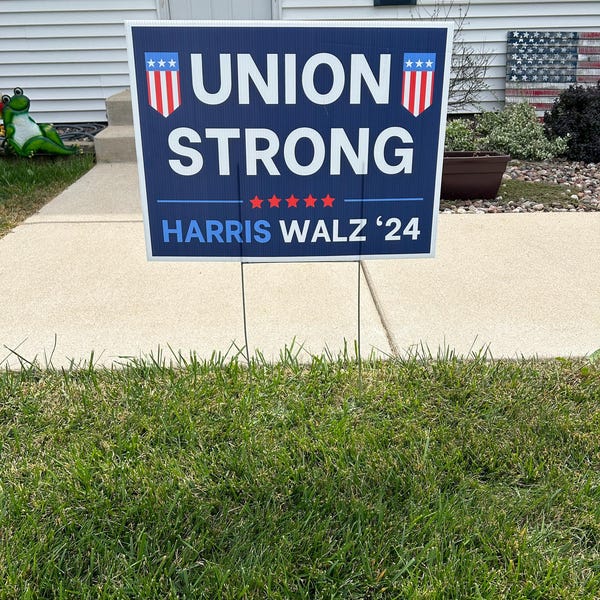 Veterans Against Fascism Protest Sign – 24x18 Yard Sign With Metal H ...