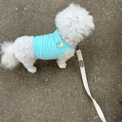 Daisy Chiffon Crop Top, XS-2XL, Dog-shirts Dog Top, Dog Clothing, Dog ...