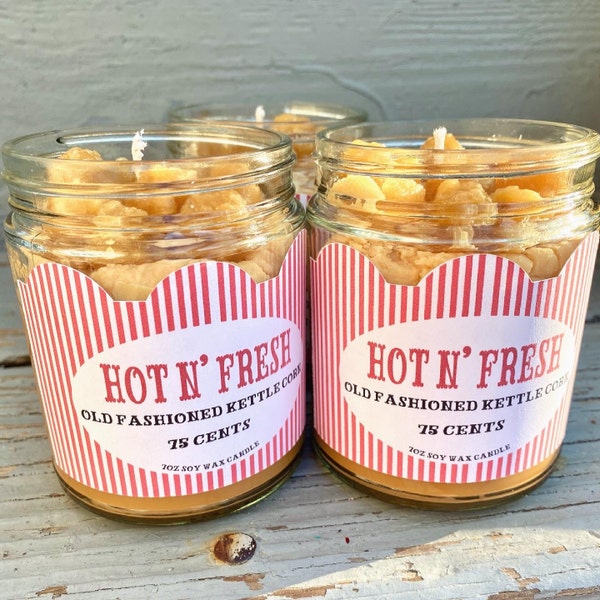 WAX Candle Embeds 1 Pound Watermelon Chunks Candle Making Supplies Wax ...