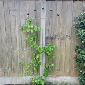 Obelisks, Large Metal Garden Obelisk With Twist Top, Rustic Plant ...