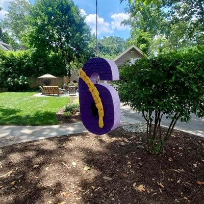 Science Beaker Pinata custom Colors - Etsy