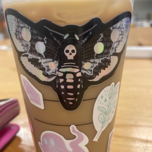 Monstera Adansonii Sticker Swiss Cheese Plant Sticker Clear - Etsy