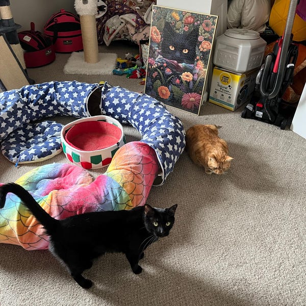 Custom Frames for Odd Poster Sizes in Inches | Aluminum in 14 Colors ...