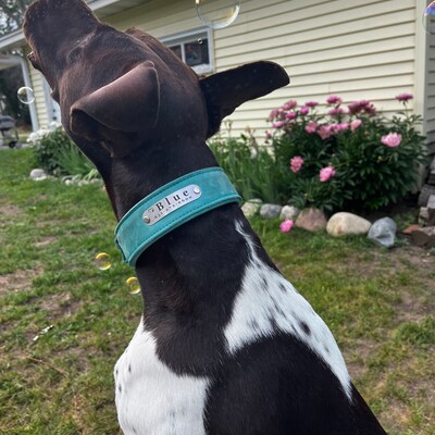 Biothane Dog Harness Service Dog Harness Accessories for - Etsy