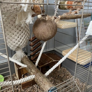 Small Pet Ladder for Cage Suitable for Rat, Hamster, Birds, Parrots ...