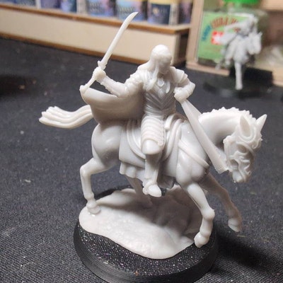 West Human Royal Guard Banner 28mm Dnd Miniature Dungeon and Dragons ...