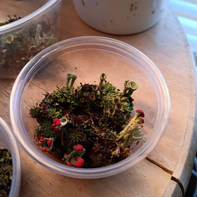 Mini Stone Cairn Stacked Stone Statue for Terrarium, Fairy Garden, Rock ...