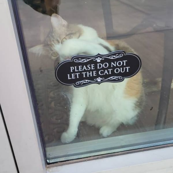Designer Please Do Not Let the Cat Out Wall or Door Sign - Etsy