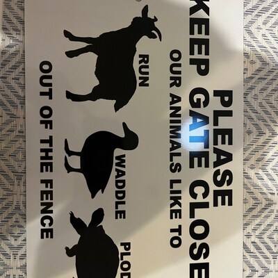 Customizable Pickleball Rules Aluminum Sign, 8X12 Inch, Perfect for ...