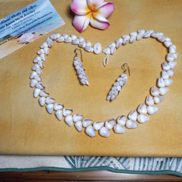 Shell Jewelry Hawaiian Granulate Cowrie Shell Necklace Shell Lei Rare ...