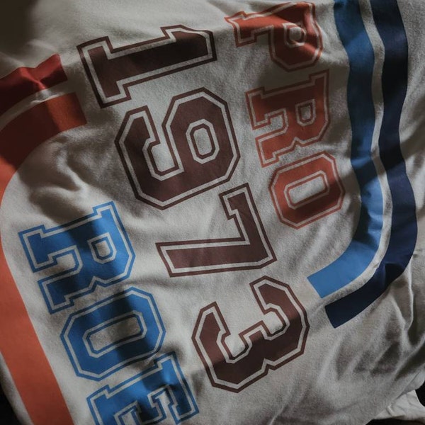 Pro 1973 Roe T-shirt, Vintage Pro Roe 1973 Shirt, Protect Roe Vs. Wade ...