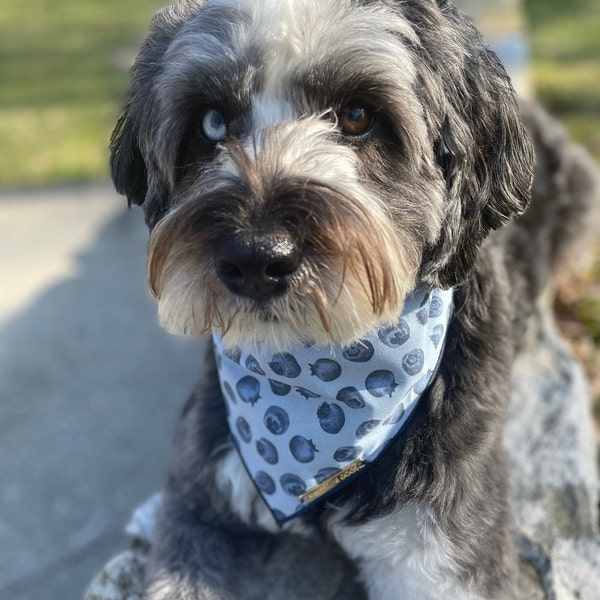 Chambray Pumpkin Bandana // Harvest, Pumpkins // Khaki, Orange ...