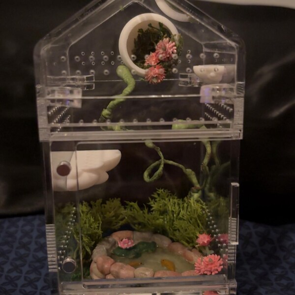 JC Decorated Hexagon Enclosures - Etsy