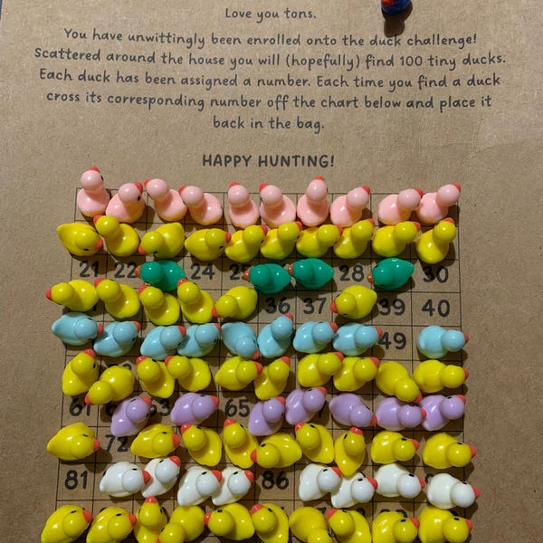 100 Duck Challenge Kit, Hide-a-duck Kit, Miniature Duck Scavenger Hunt, Hide the Duck, Elf Prop ...