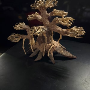 Windy Pods for Shrimp, Fish, Aquariums Craft Supplies Botanicals - Etsy