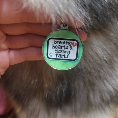 Poop Dog Tag for Your Little Sht Free Personlisation - Etsy UK