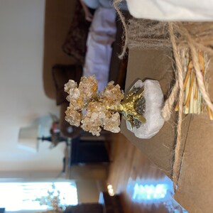 Wooden Shell Tripod Display Stand Hand Carved Base for Abalone Shell ...