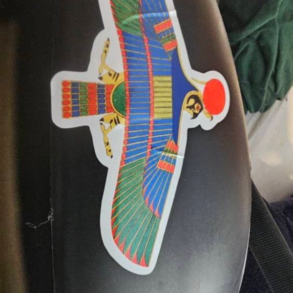 Van Gogh Skeleton Sticker, Skull Water Bottle Sticker - Etsy