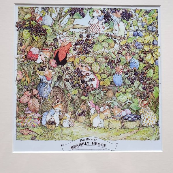 The MICE of BRAMBLY HEDGE - Brambly Hedge Mounted Print 12" X 12" Ivory ...