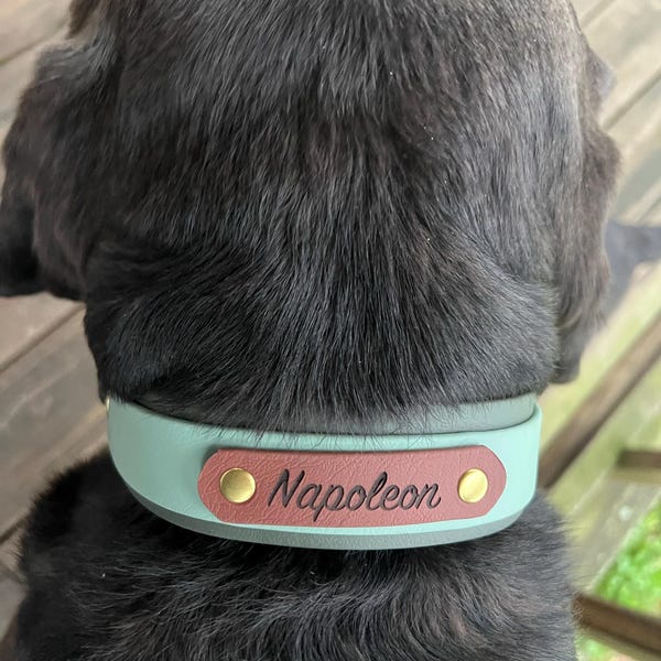 Braided Biothane Paracord Collar | Mothersday Gift| Durable Handmade ...