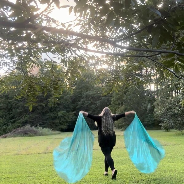 Gold 'throne Room' Aurora Borealis Rainbow Flowy Worship Banner Dance ...