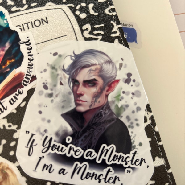 To Whatever End, Throne of Glass, TOG, Aelin & Rowan, Terrasen ...