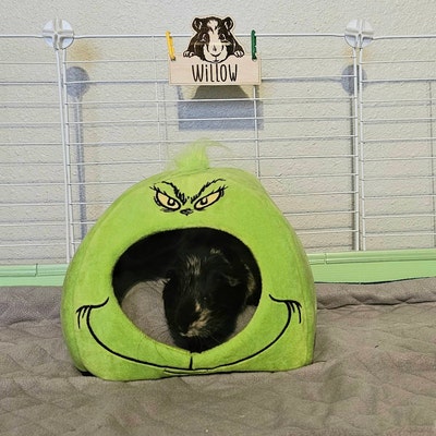 Guinea Pig Cage Tag, Personalized, Custom, Engraved Wood, Pet Guinea ...