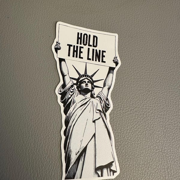 United We Stand Federal Departments Flag Yard Sign | Anti-doge F ELON ...