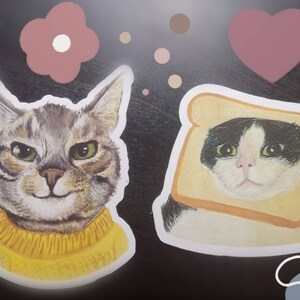 Funny Birthday Sweater Cat/ Smug Cat/ Birthday Card/ Cheeky | Etsy