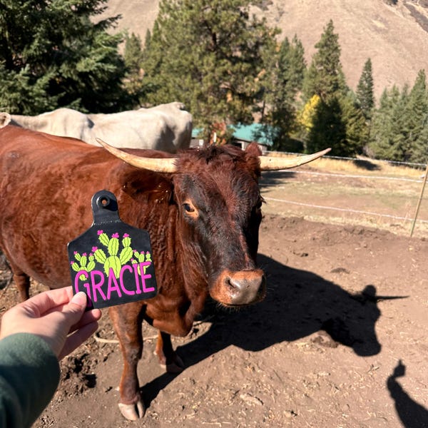 Custom Cattle Ear Tag - UV Printed Full Color Weatherproof ...