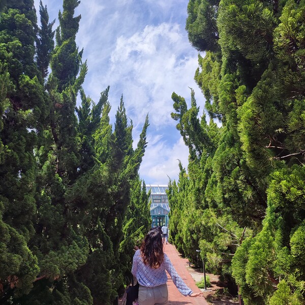 Gemma Cardigan Crochet Pattern (english)| Intermediate Pattern - Etsy