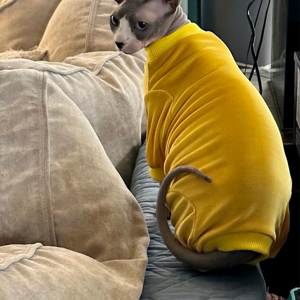 Clothes for Cats, Cat Bathrobe: Handmade Luxury for Your Feline Friend ...