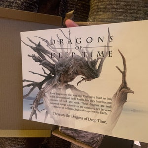 Draco Minimus Book - Etsy