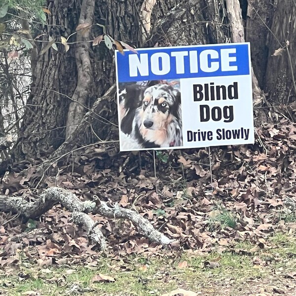 Stay Safe Santa, Santa Clause Wear a Mask, Merry Christmas, Yard Sign ...