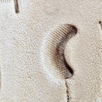 Patterns for Belts 3/4 to 2 by Chan Geer sheridan Style Leather ...