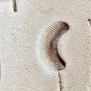 Sheridan Style Patterns for Flowers & Leaves by Chan Geer leather ...