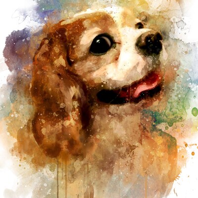 Custom Pet Portraits. Fantasy Illustration Realistic Painting for All ...