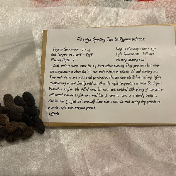 35+ Organic Loofah Seeds | Luffa | Edible Squash | Sponge Harvest | Non ...