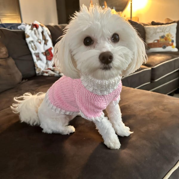 12 Patriotic Handknit Gnome - Etsy