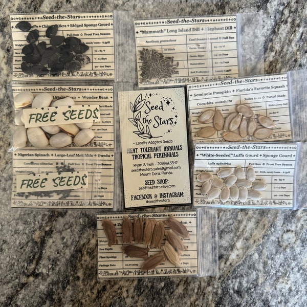 10 Premium Seminole Pumpkin Seeds Saved From Our Best THICK FRUIT ...