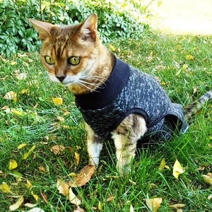 Stylish CAT Rain JACKET Waterproof Cat Coat Yellow Vintage - Etsy