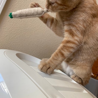 Cat Toys Felt Catnip Joints Set of 3 Available in Catnip, Lemongrass ...