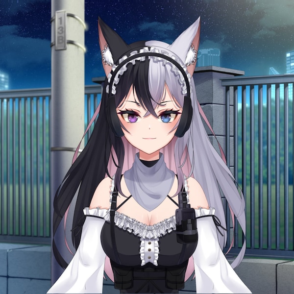 Customizable Vtuber/premade Adopt Live 2D Vtuber Model Cute Fox/cat ...