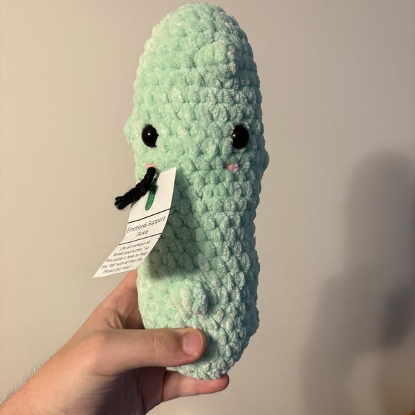 NO SEW Crochet Emotional Support Pickle Pattern W/ Tag - Etsy