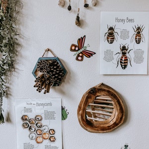 Winter Learning Bundle Unit Study, Nature Study, Charlotte Mason - Etsy