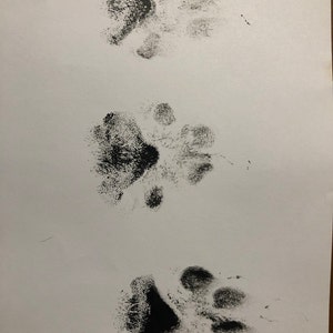 No-touch Inkless Baby Hand and Footprint Kit Painless | Etsy