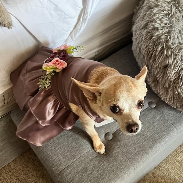 Terracotta Wedding Collar the Chauncy Rust and Burnt Orange Bridesmaid ...