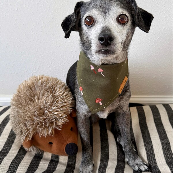 Mushrooms & Moss Dog Bandana Olive Rust Ivory Brown Woodland Cotton ...