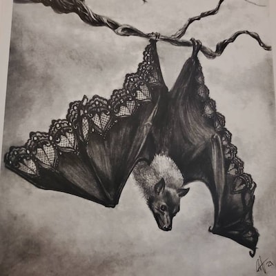 Bat Illustration Beautifully Dysfunctional Leather and Lace Bat Nature ...